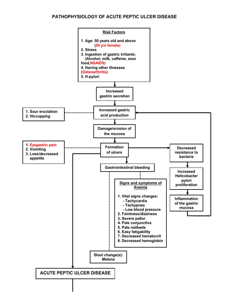 Pathophysiology of Acute Peptic Ulcer Disease: 55 Y/o Female) | PDF ...