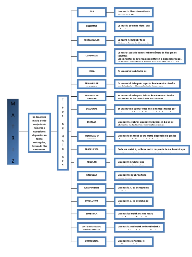 MAPA CONCEPTUAL MATRICES