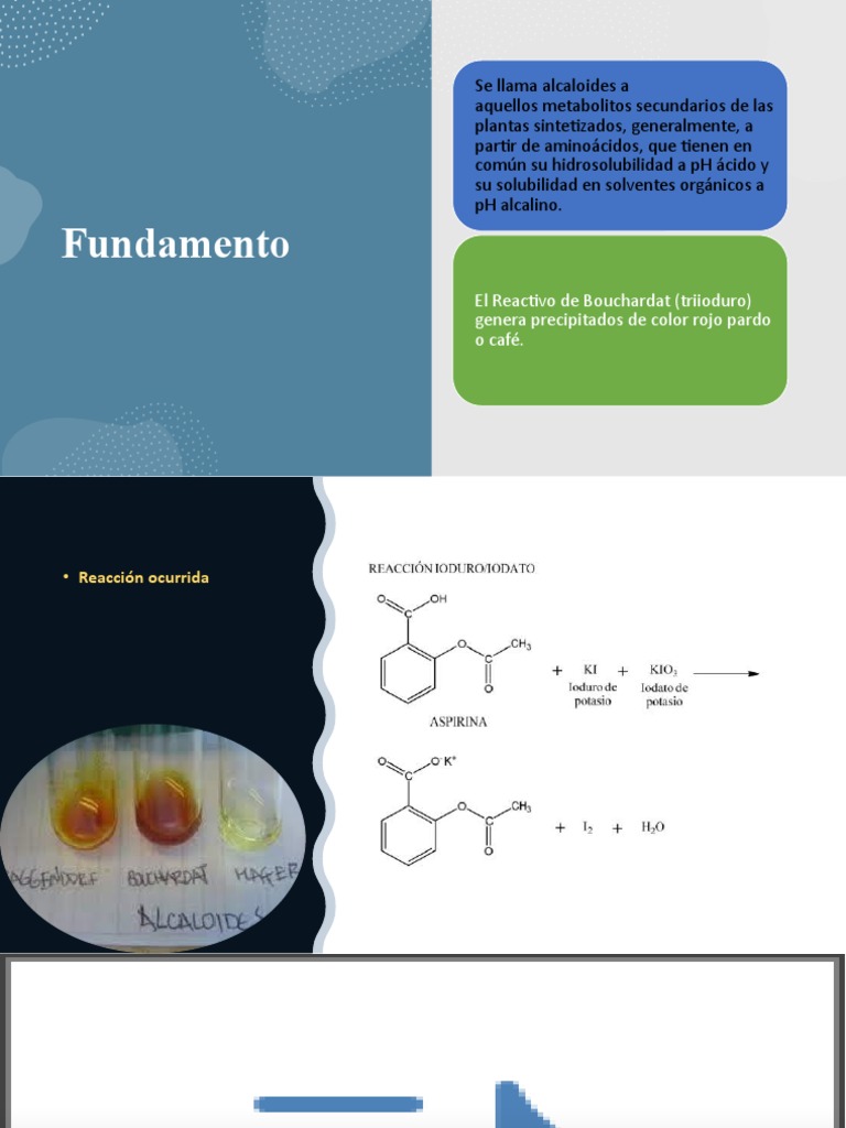 Bouchardat | PDF