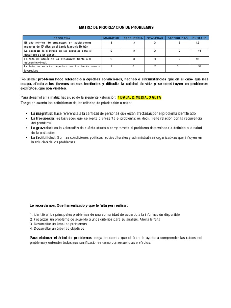 Matriz de Priorizacion de Problemas | PDF