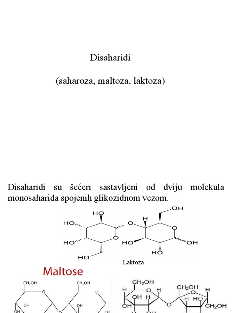 Disaharidi | PDF