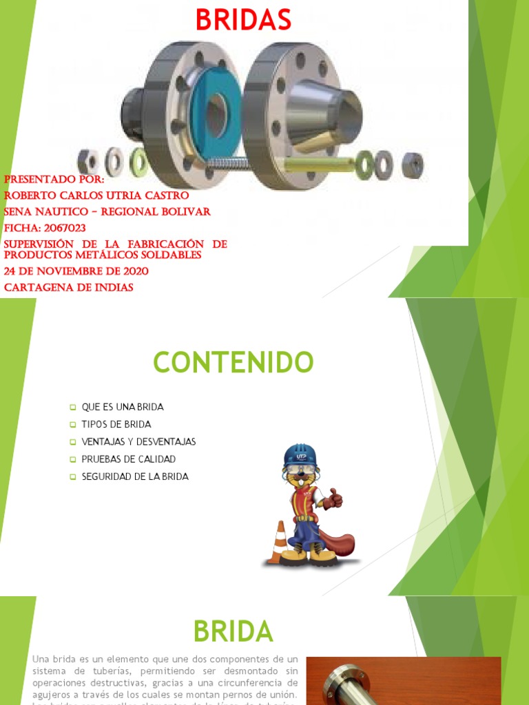 Tipos de Bridas y Sus Aplicaciones | PDF | Plomería | Tecnologías de gas