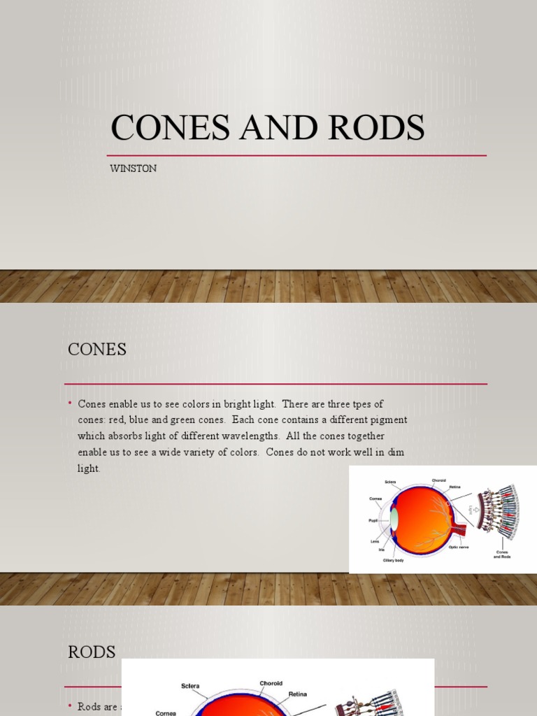 Cones and Rods | PDF | Home & Garden