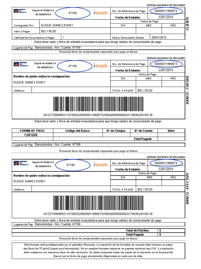 Fecha de Emisión: Seguros Del Estado S.A Nit. 860009578-6 | PDF | Cheque | Bancos