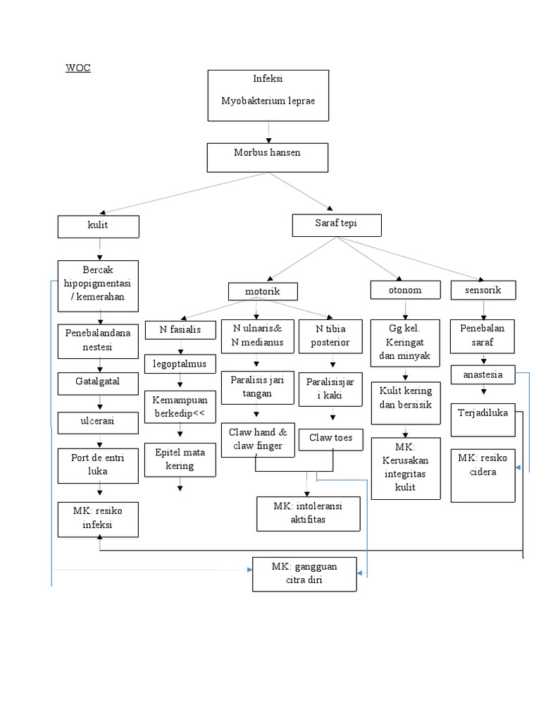 PENGERTIAN DAN GEJALA PENYAKIT KUSTA (HANSEN) | PDF