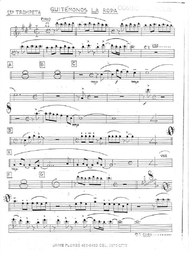 Ng2 - Quitemonos La Ropa | PDF