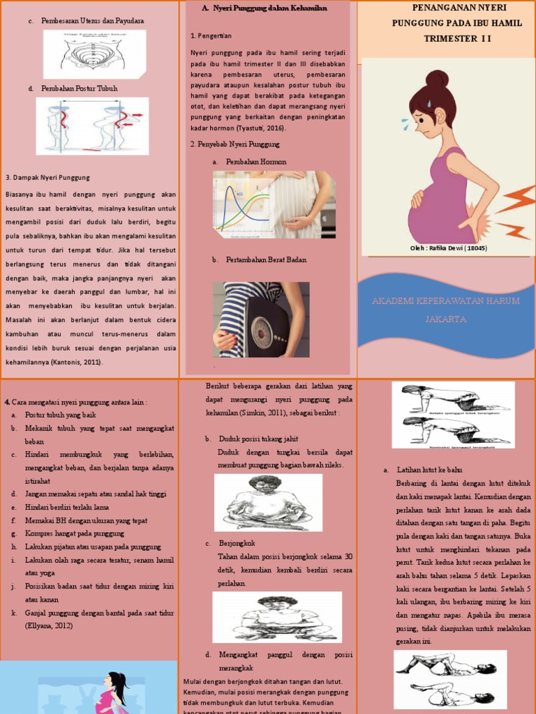 Leaflet Mater Nyeri Punggung | PDF