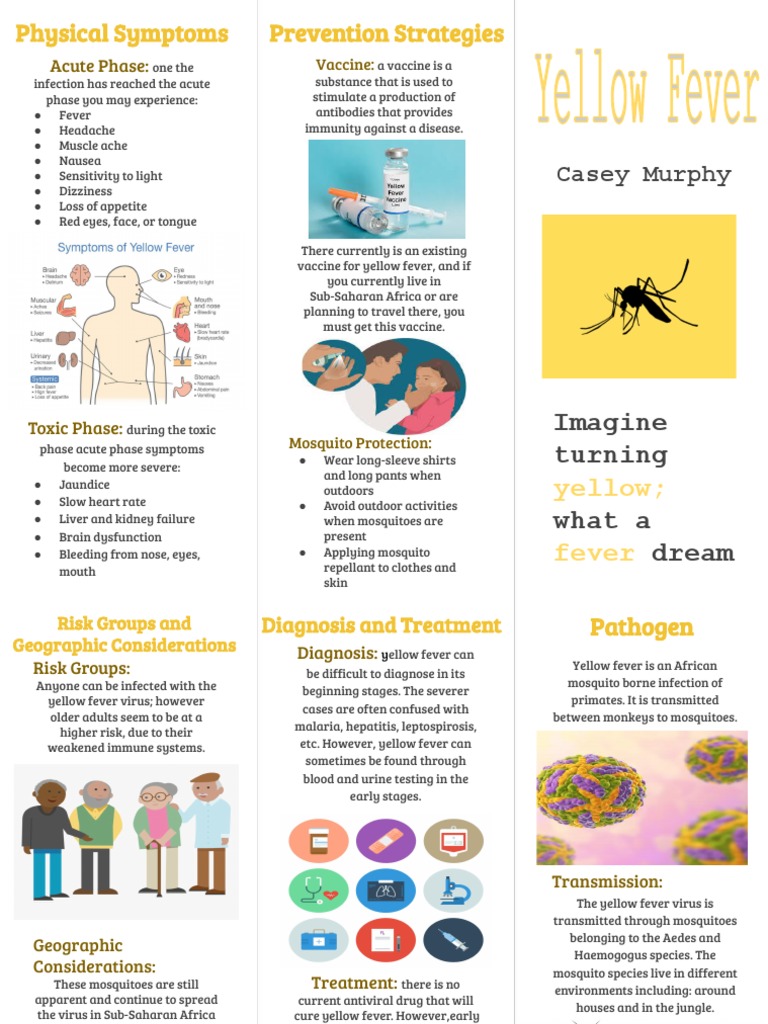 Casey Infectious Disease Pamphlet | PDF | Yellow Fever | Infection