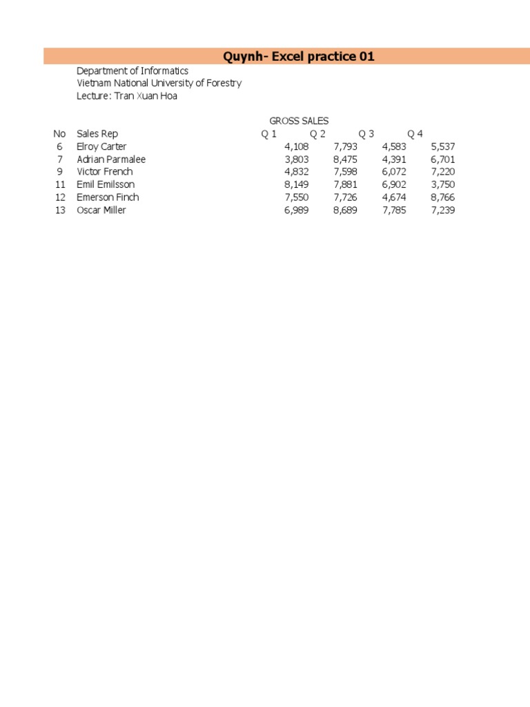 Excel Practice 012 | PDF