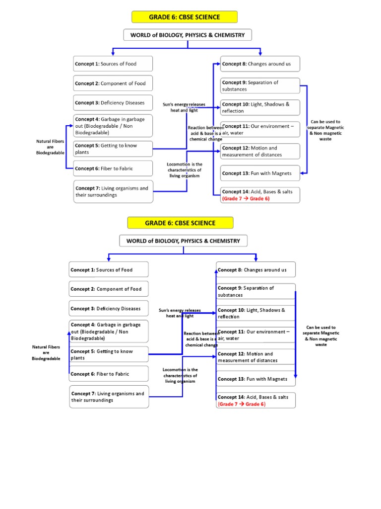 Mind Map For Grade 6 | PDF