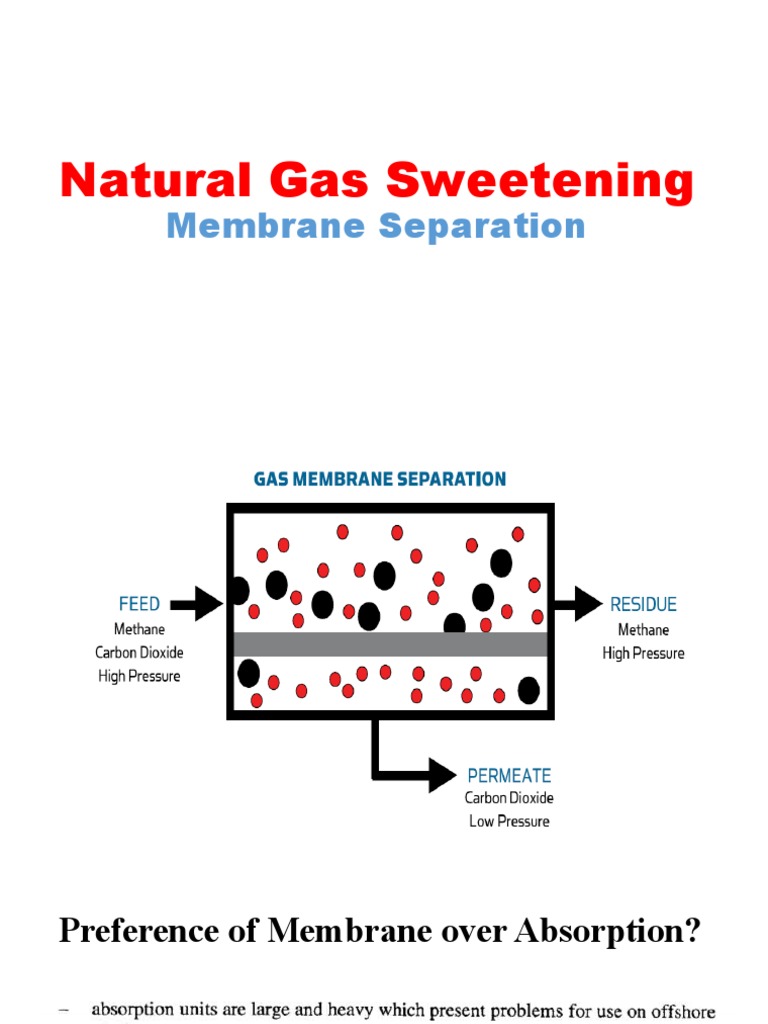 Natural Gas Sweetening 2 | PDF | Natural Gas Processing | Carbon Dioxide