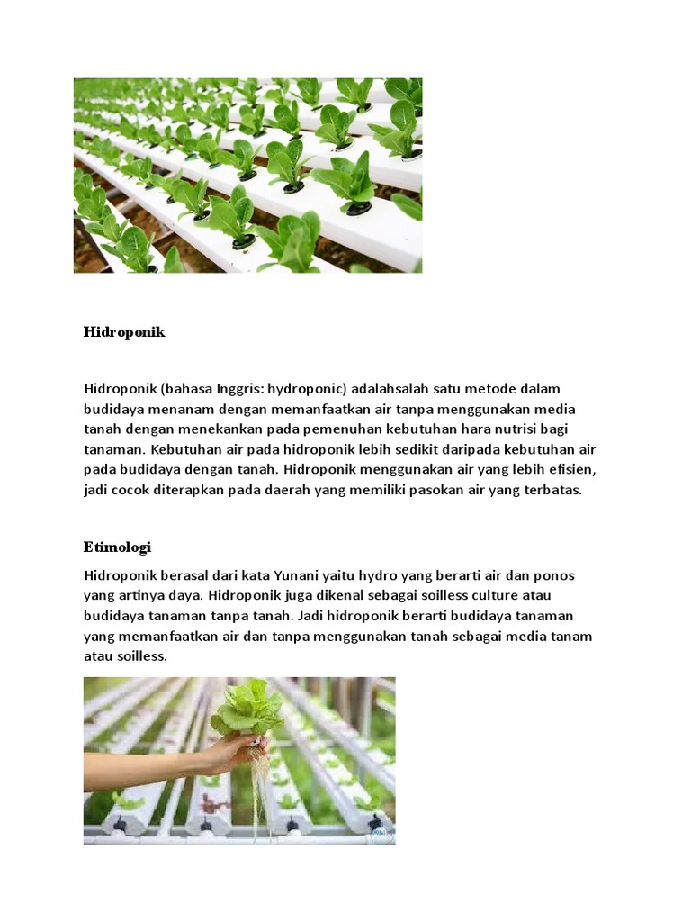 Teknologi Hidroponik | PDF