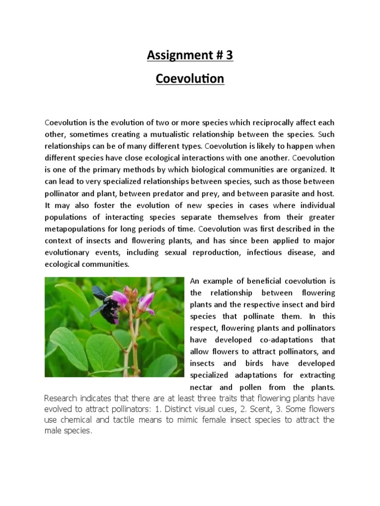 Assignment 3 Bio | PDF | Biological Interactions | Biology