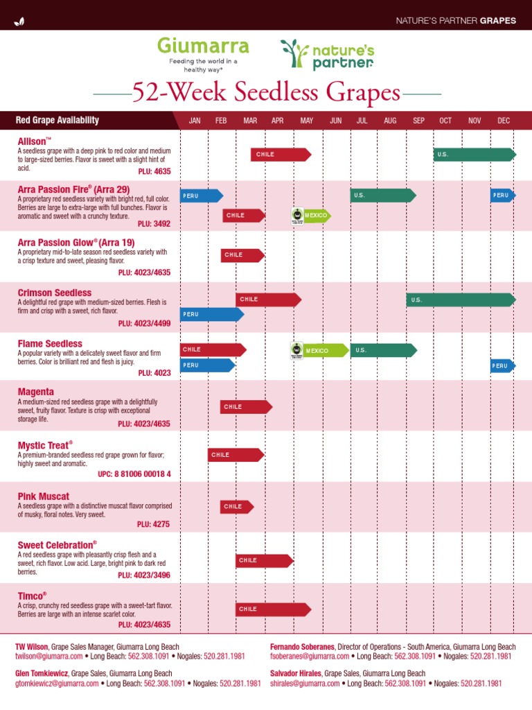 52-Week Seedless Grapes: Allison | PDF | Grape | Vitis