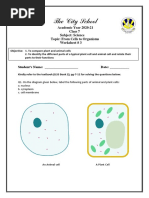Cell Structure (Grade 6) - Free Printable Tests and Worksheets PDF ...