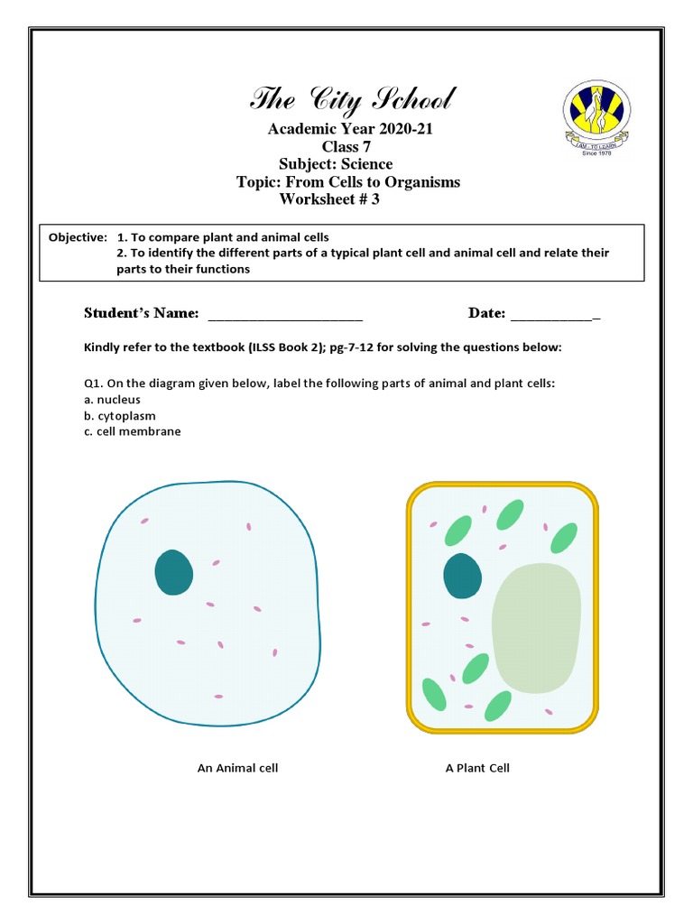 Science Class 7 Week 2 Worksheet 3 PDF | PDF | Eukaryotes | Cell (Biology)