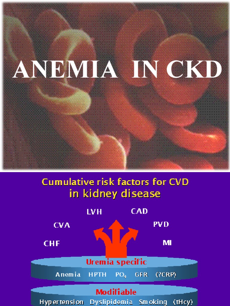 Anemia Pada CKD - 2015 | PDF | Anemia | Chronic Kidney Disease