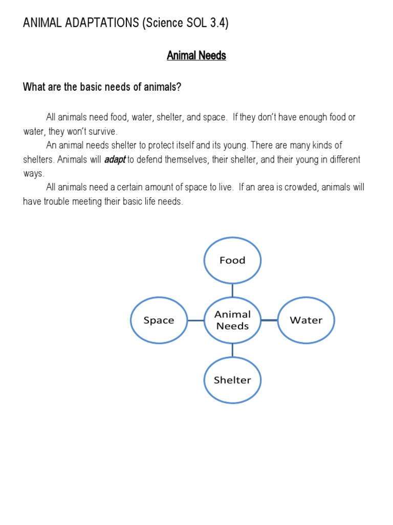 Animal Adaptation Interactive Notes 2012 2013 | PDF | Adaptation | Mimicry