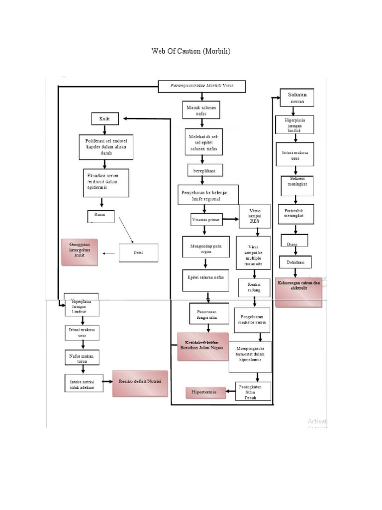 (WOC) Web of Caution | PDF