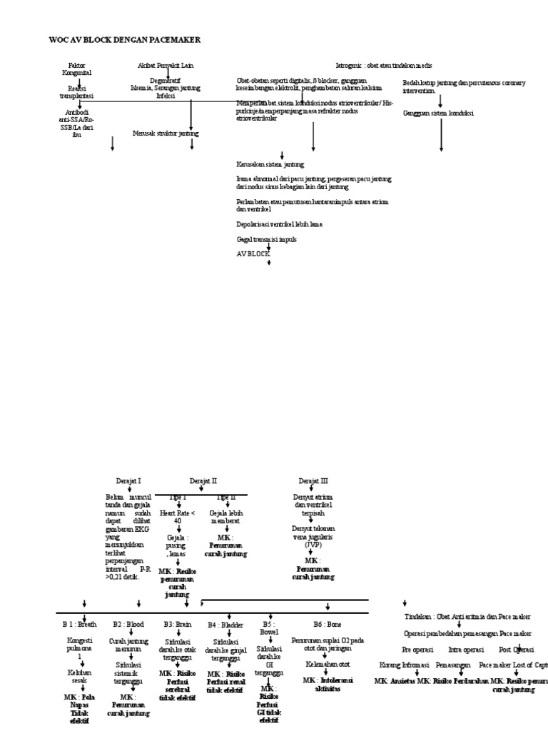 Woc Av Block Dengan Pacemaker | PDF