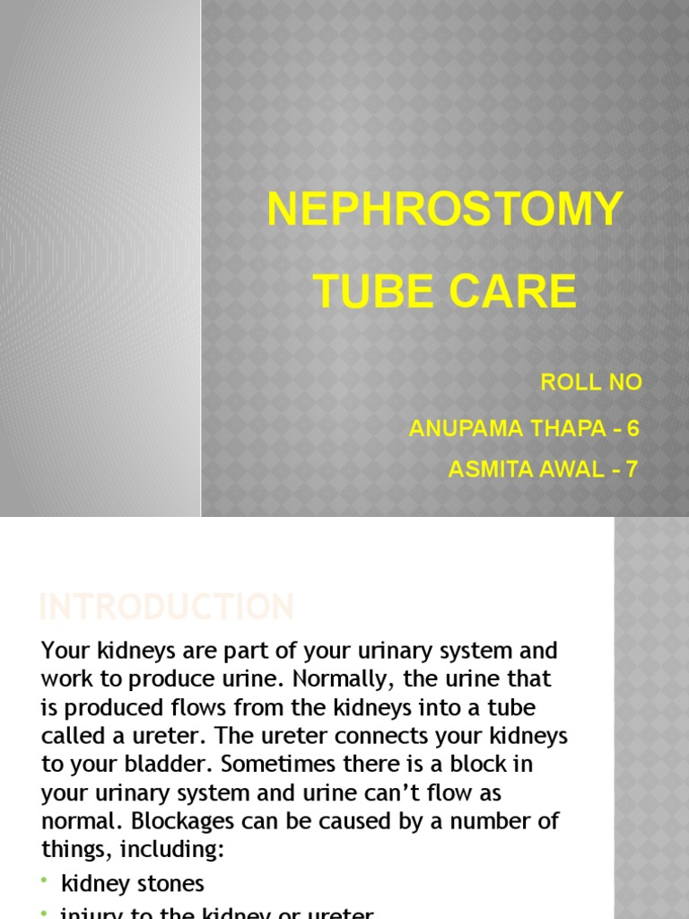 Nephrostomy Tube Care: Roll No Anupama Thapa - 6 Asmita Awal - 7 | PDF ...