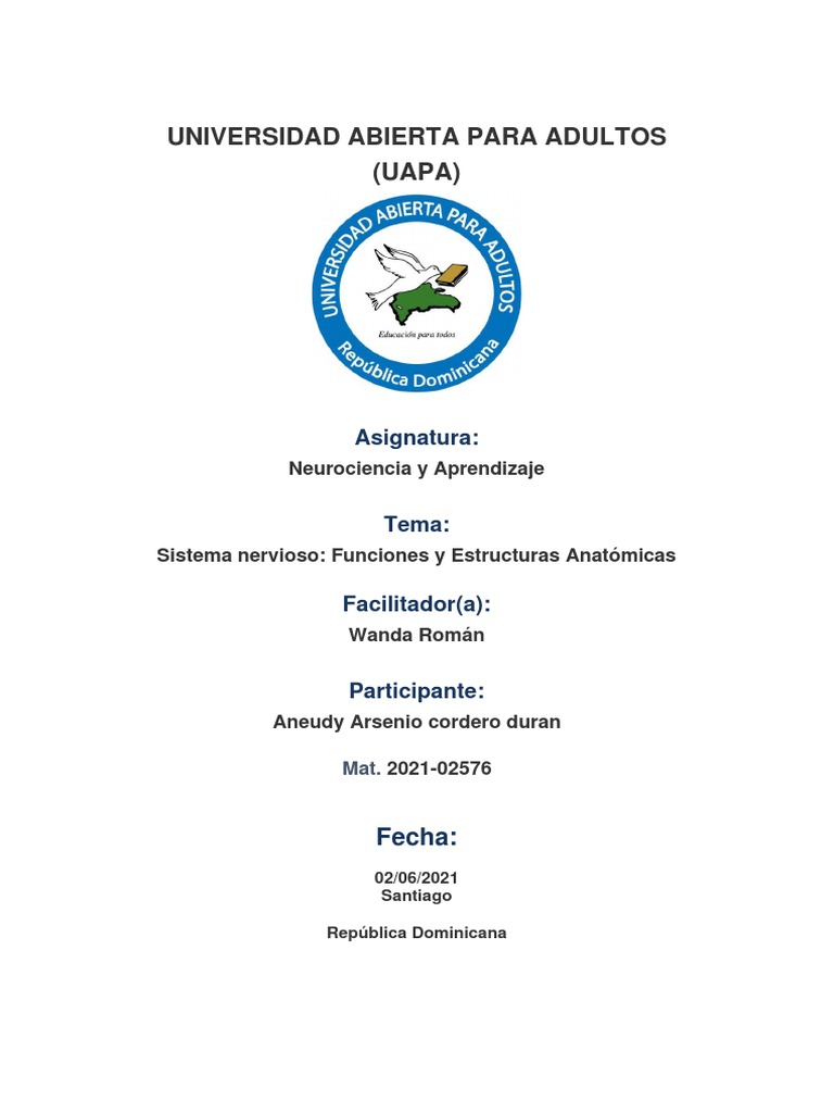 Tarea 2 Maestra Wanda Roman, Neurociencia y Aprendizaje | PDF | Cerebro ...