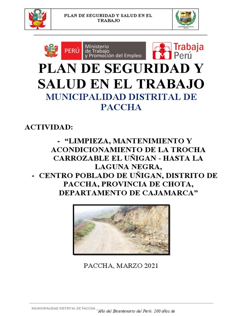 Plan Seguridad Laboral Paccha 2021 | PDF | Seguridad y salud ocupacional | Evaluación de riesgos