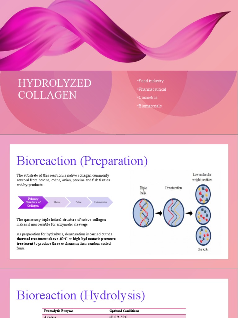 Hydrolyzed Collagen: Food Industry Pharmaceutical Cosmetics ...
