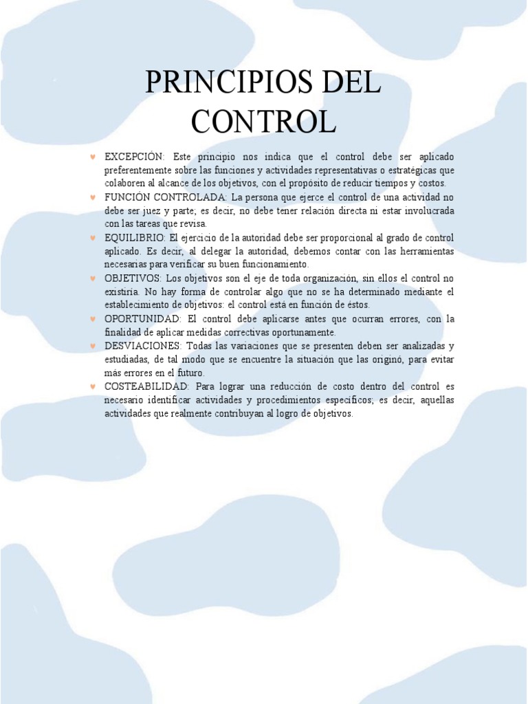 Principios Del Control | PDF