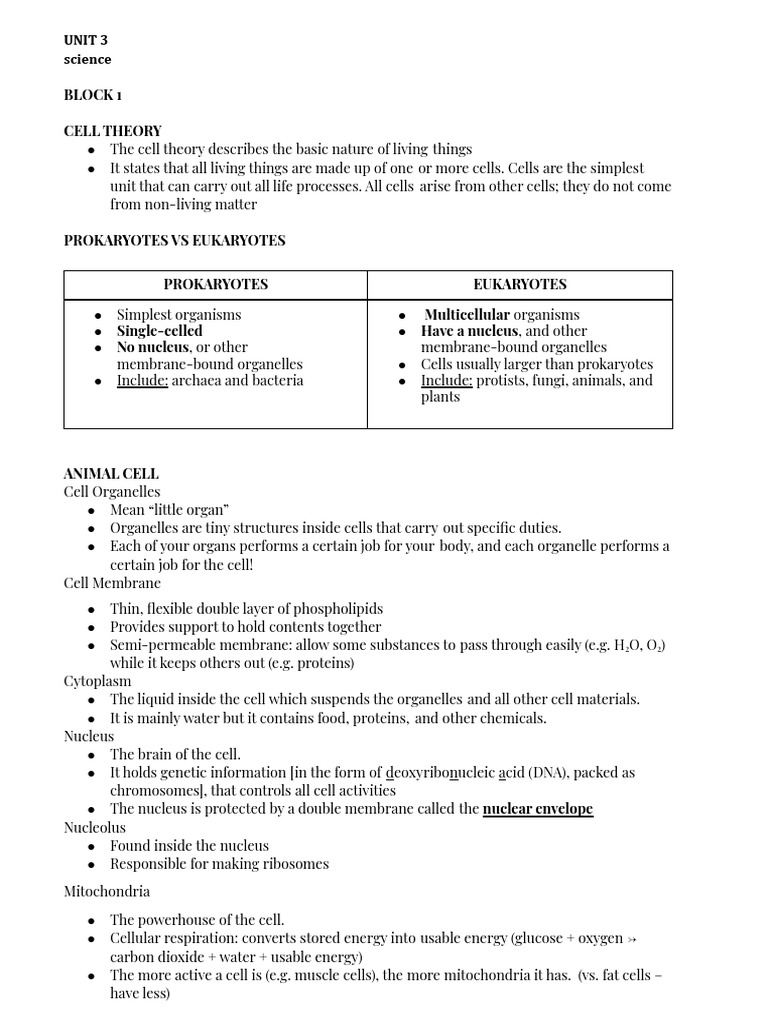 Understanding Cell Theory and Division | PDF | Respiratory Tract ...