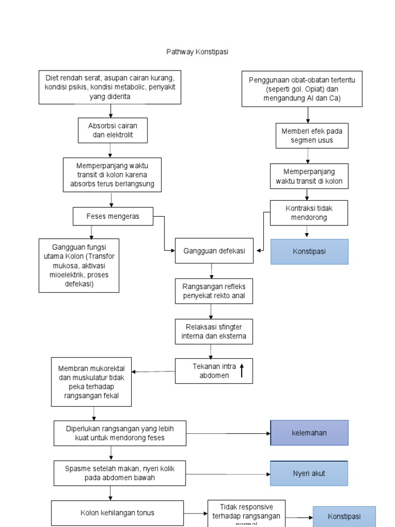 Pathway Konstipasi | PDF