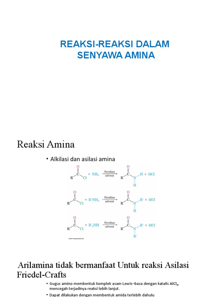 Reaksi-Reaksi Dalam Senyawa Amina | PDF