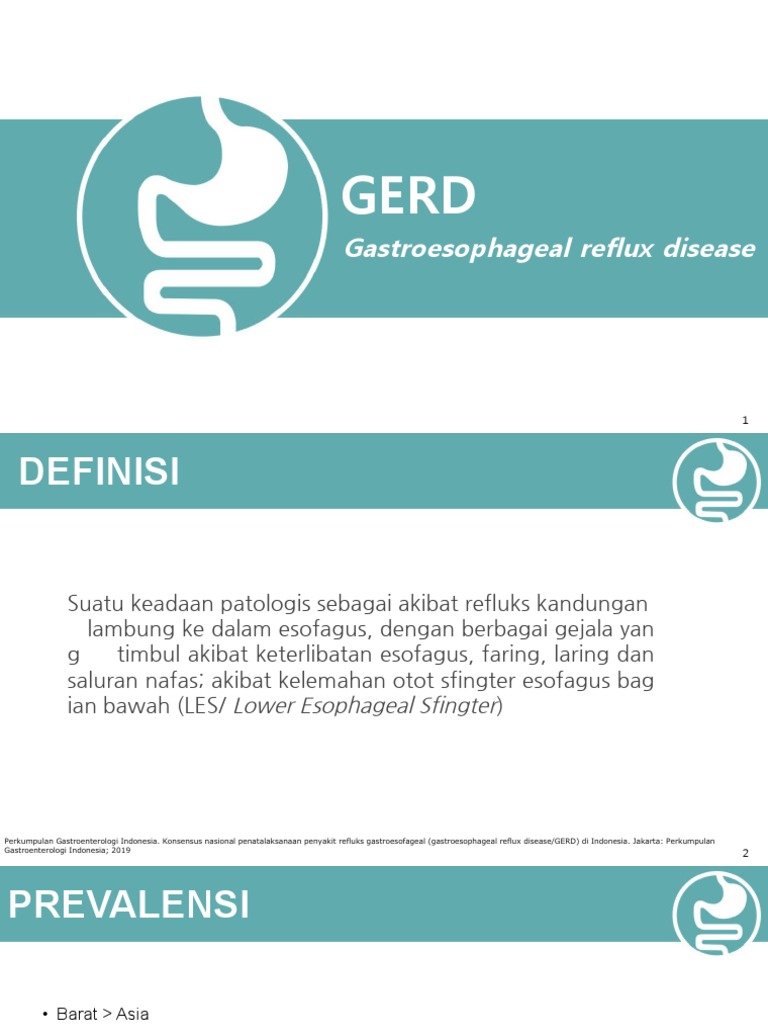 Slide Gerd | PDF