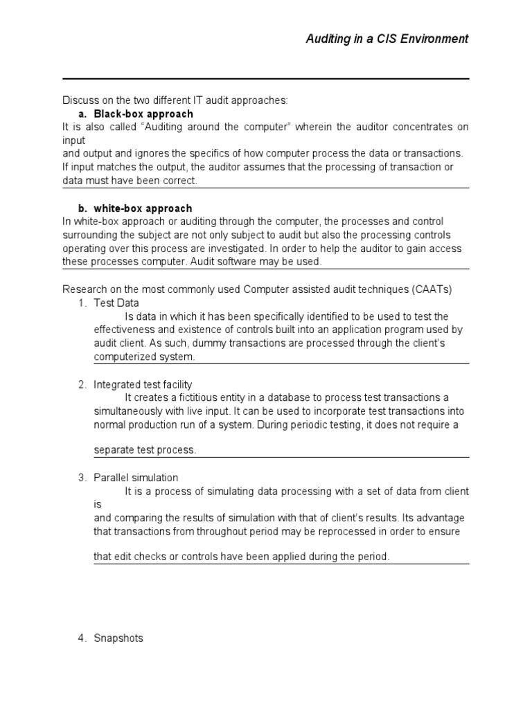 Audit in A CIS Environment 5 | PDF | Audit | Information Age