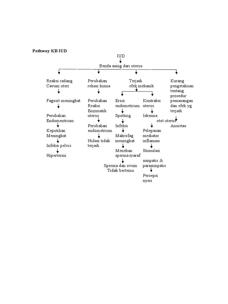 Pathway dan Efek Samping KB IUD | PDF