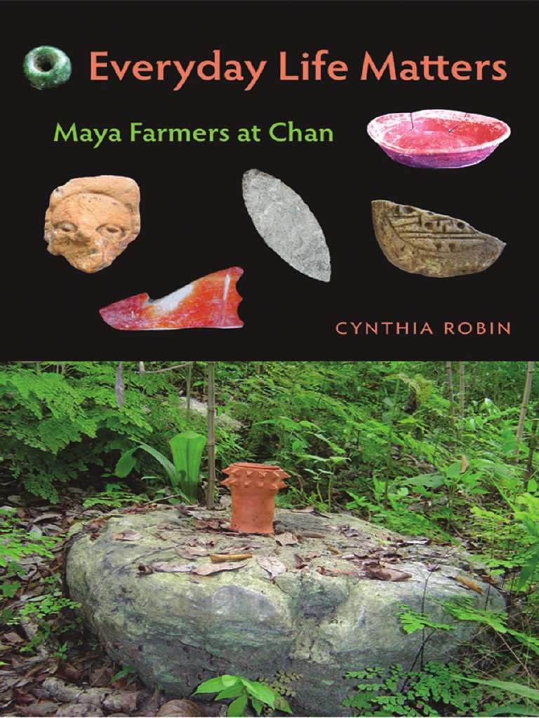 Everyday Life Matters | PDF | Archaeology | Maya Civilization