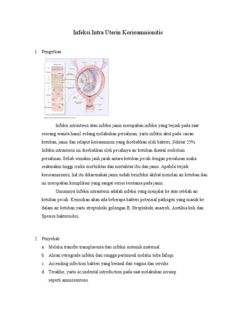 Infeksi Intra Uterin Korioamnionitis | PDF