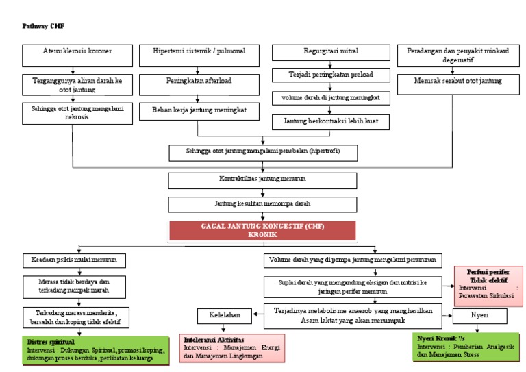 Pathway CHF Sumi | PDF