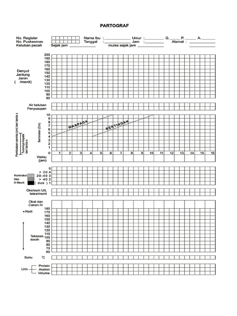 Partograf New | PDF