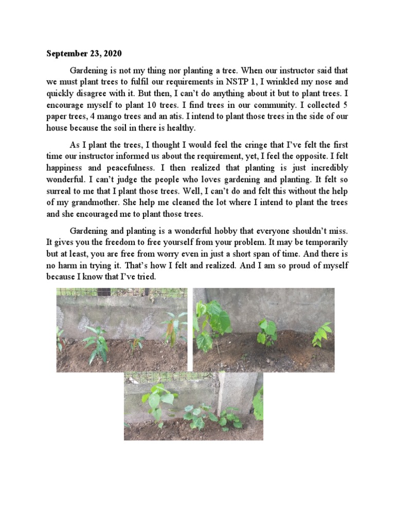 Narrative | PDF | Trees