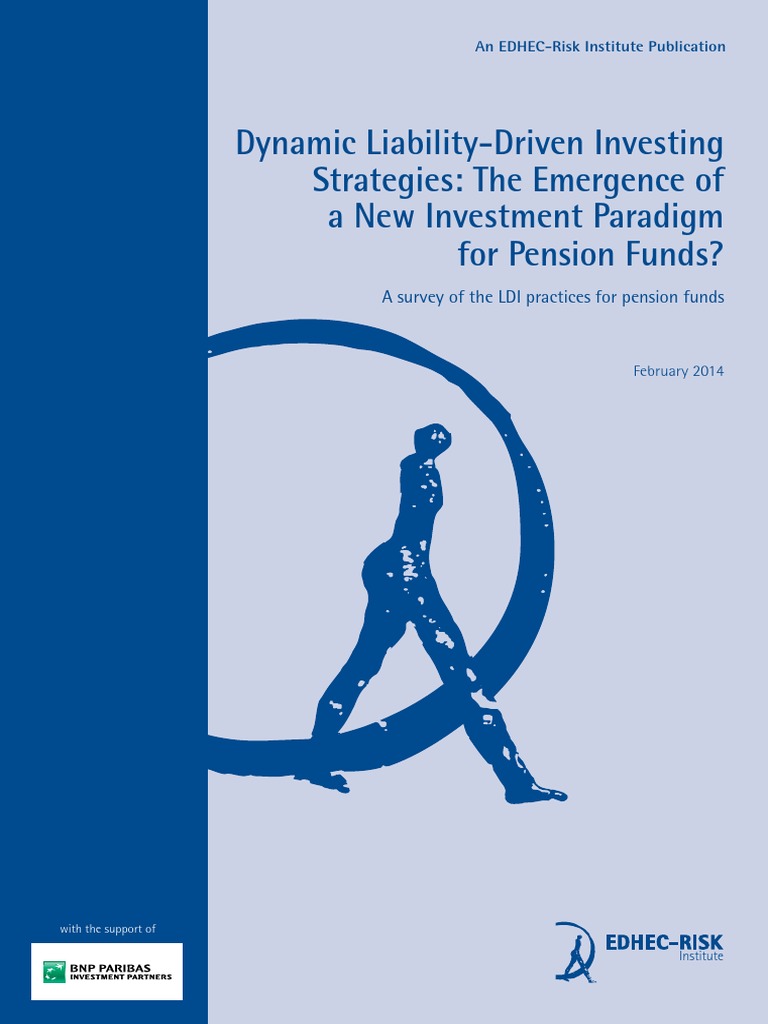 Edhec Publication Dynamic Ldi Strategies 0 | PDF | Asset Allocation ...