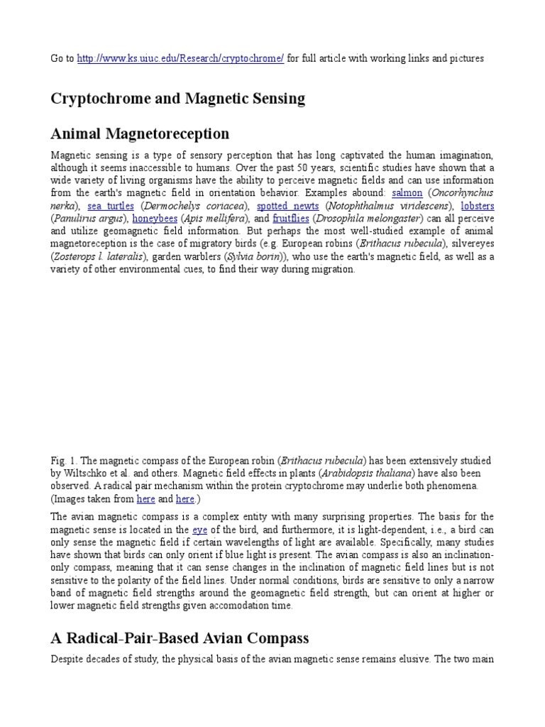 Cryptochrome and Magnetic Sensing | PDF | Active Site | Absorption ...