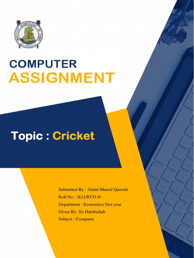 Computer Assignment | PDF | Cricket | Ball And Bat Games