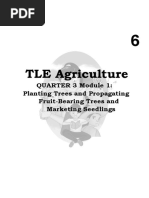 Narrative Report Tree Planting | PDF | Trees | Bonsai