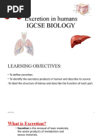 Life Science Grade 11 Term 3 Notes | PDF | Kidney | Urine