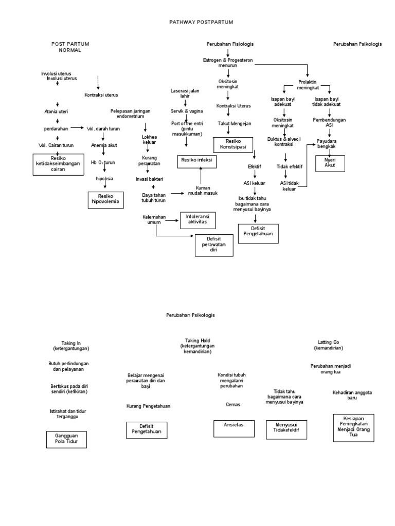 Pathway POSTNATAL | PDF