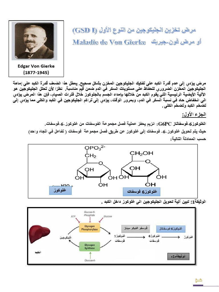 Maladie de Von Gierke | PDF