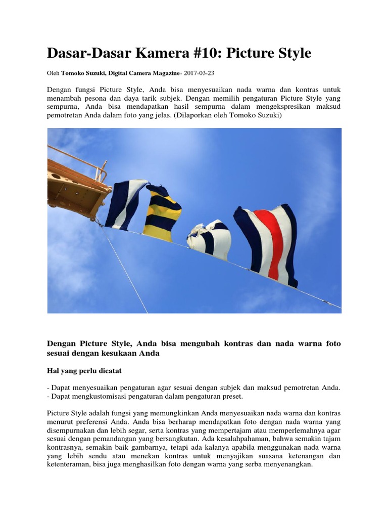 10 Dasar-Dasar Kamera-Picture Style | PDF