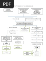 AAFP Dizziness - Evaluation and Management | PDF | Vertigo | Ménière's ...