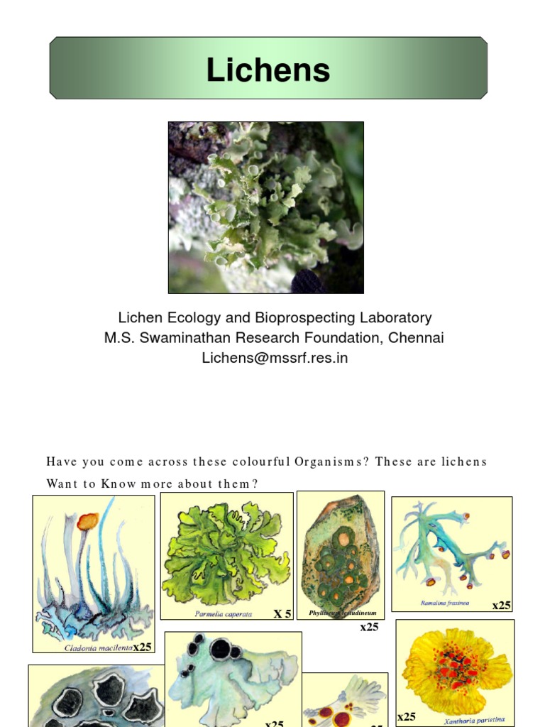 Lichens: Lichen Ecology and Bioprospecting Laboratory M.S. Swaminathan ...